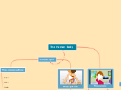 The Human Body - Mind Map