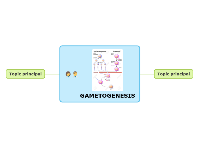 GAMETOGENESIS - Mind Map