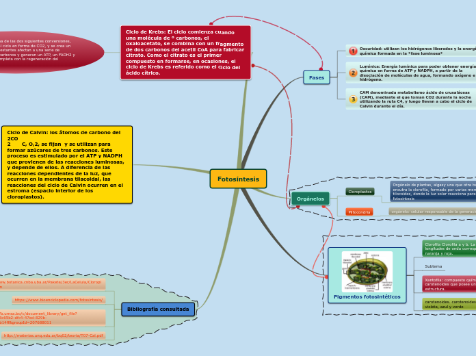 fotosintesis - Mind Map
