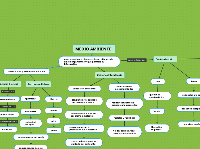 MEDIO AMBIENTE - Mind Map