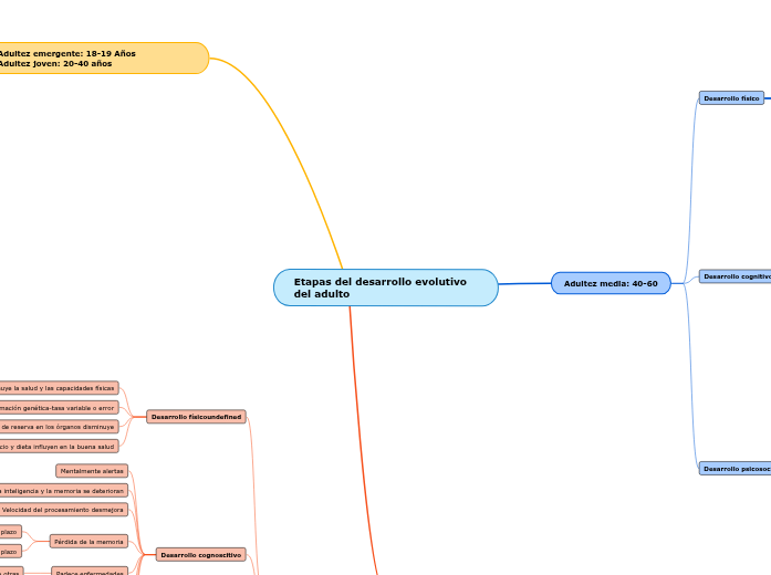 Etapas del desarrollo evolutivo del adulto - Mind Map