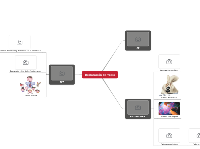 Declaración de Tokio - Mind Map
