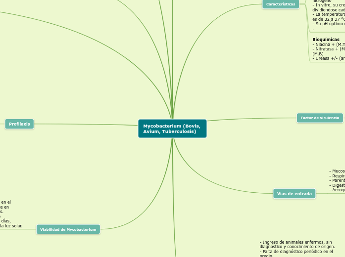 Mycobacterium (Bovis, Avium, Tuberculosis) - Mind Map
