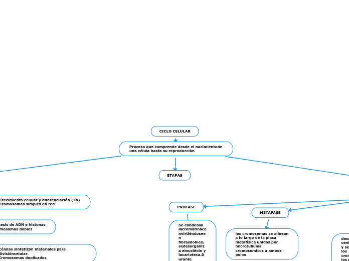 CICLO CELULAR - Mind Map