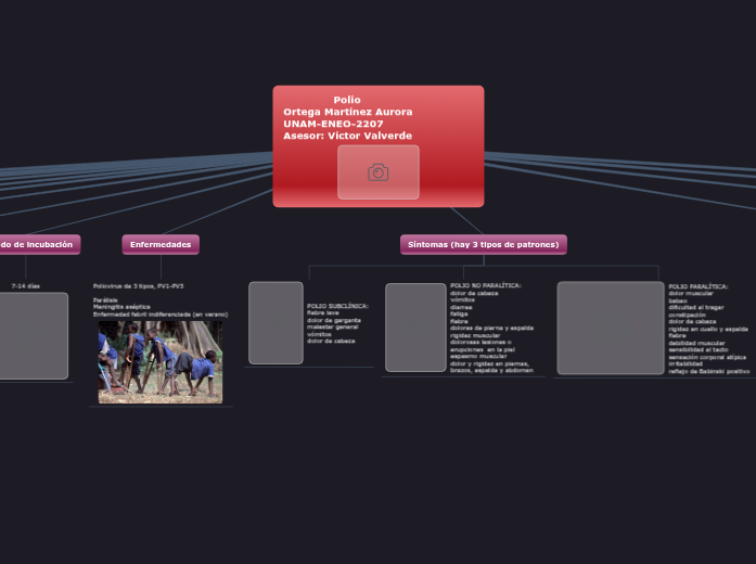 Polio - Mind Map