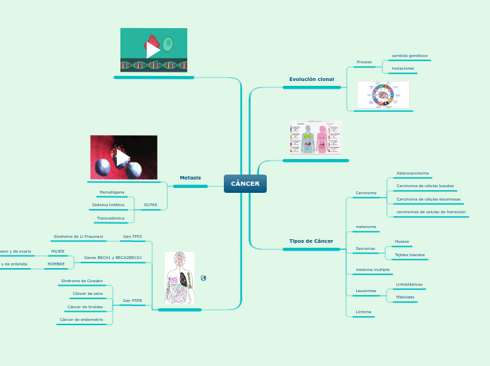 CÁNCER - Mind Map