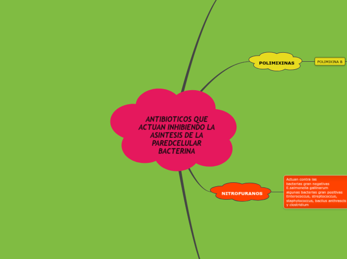 ANTIBIOTICOS QUE ACTUAN INHIBIENDO LA ASIN...- Mind Map