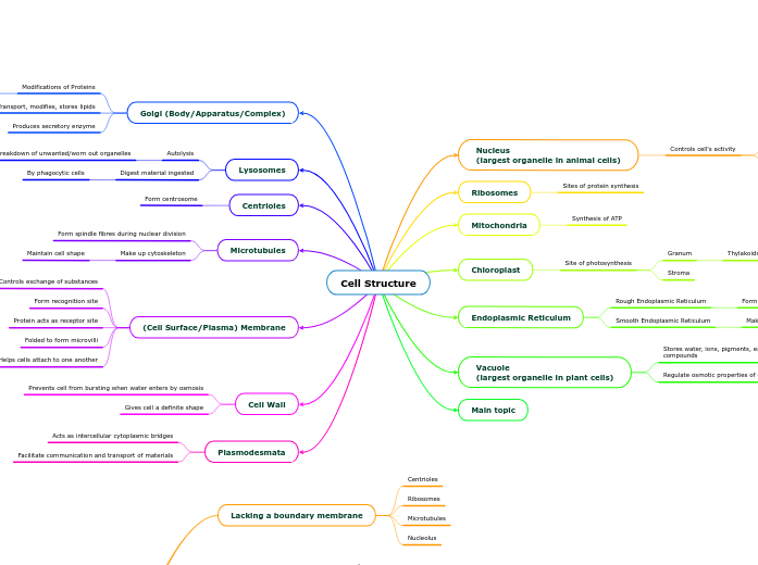Cell Structure - Mind Map