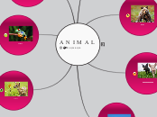 ANIMAL - Mind Map