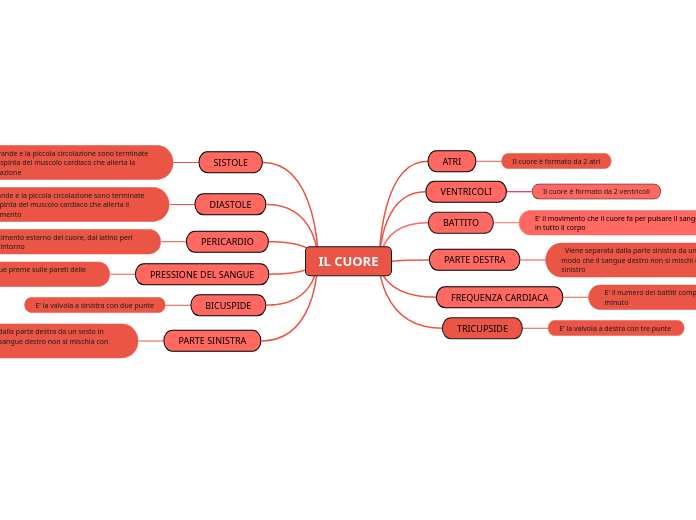 IL CUORE - Mind Map