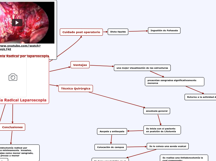 Cistectomía Radical Laparoscopia - Mind Map