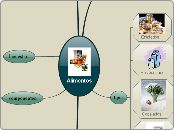 Alimentos - Mind Map