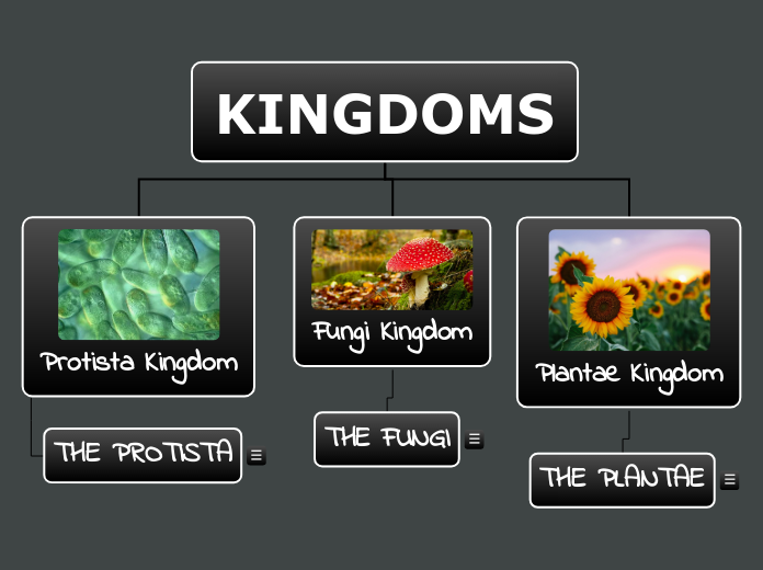 KINGDOMS - Mind Map
