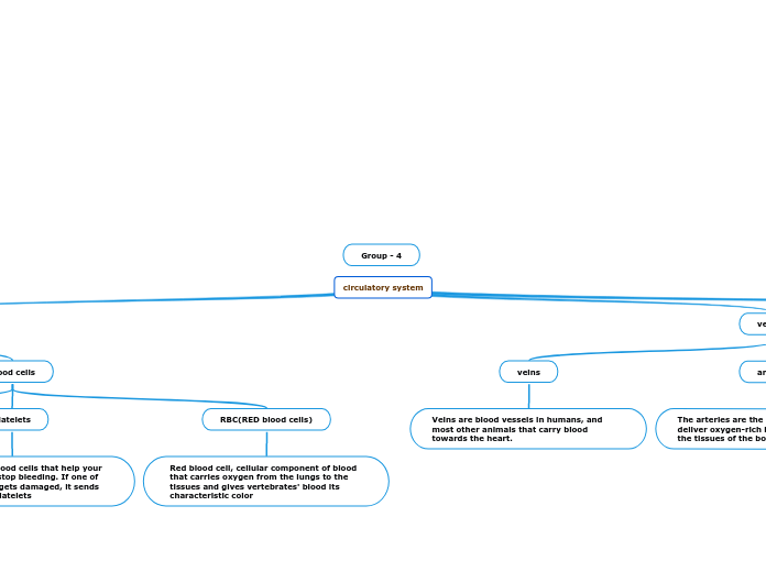 circulatory system - Mind Map