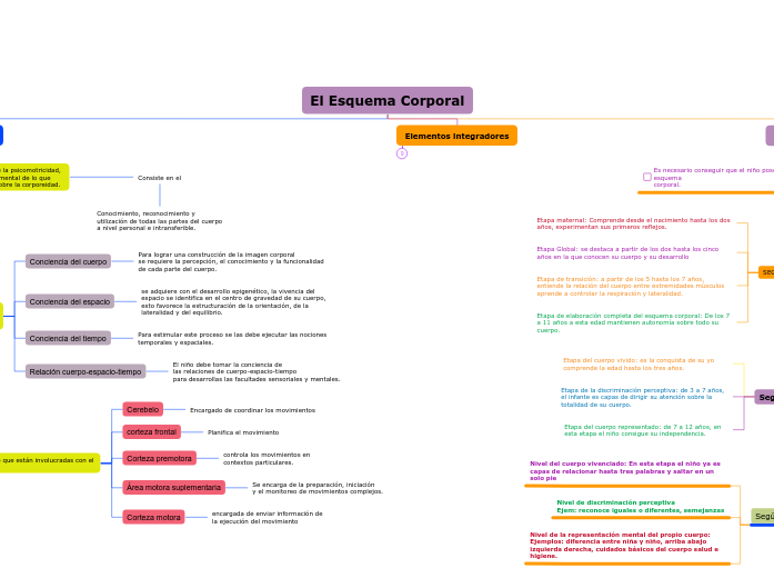 El Esquema Corporal - Mind Map