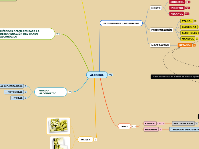 ALCOHOL - Mind Map