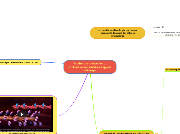 CM7. Leçon 9 Produire le mouvement : contr...- Mind Map