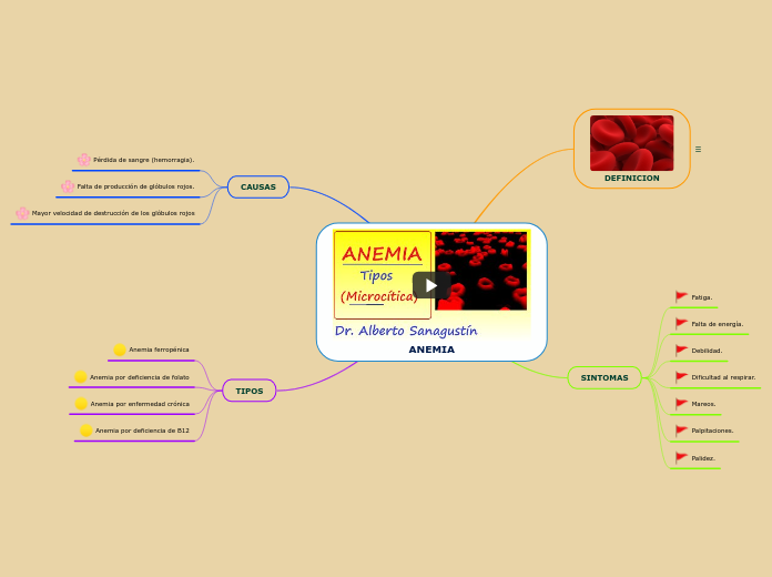 ANEMIA - Mind Map