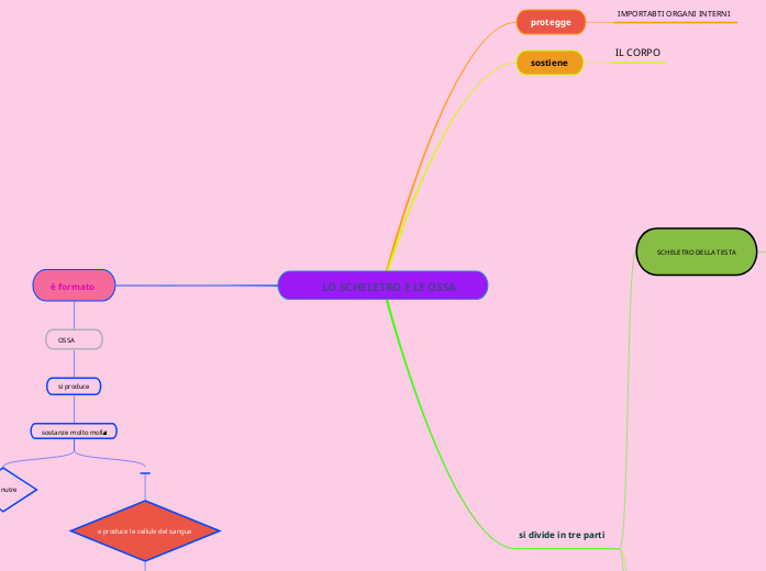 LO SCHELETRO E LE OSSA - Mind Map