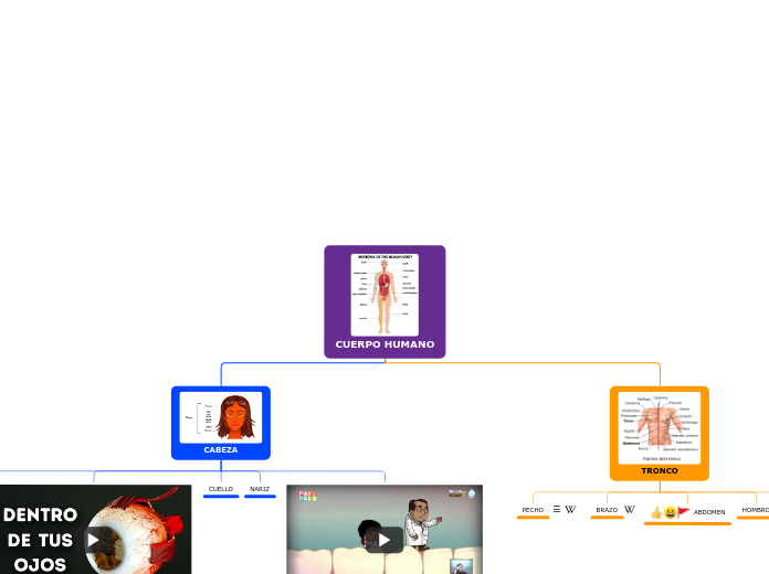 CUERPO HUMANO - Mind Map