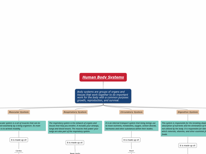 Human Body Systems - Mind Map