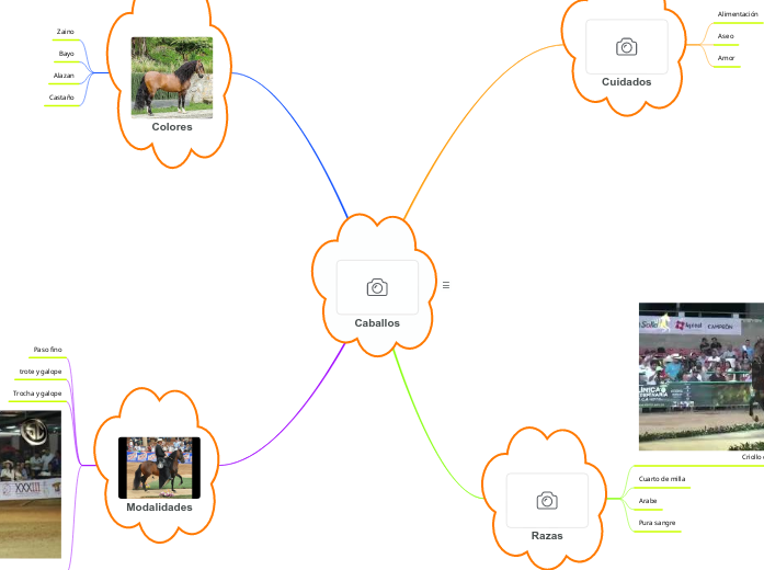 Caballos - Mind Map