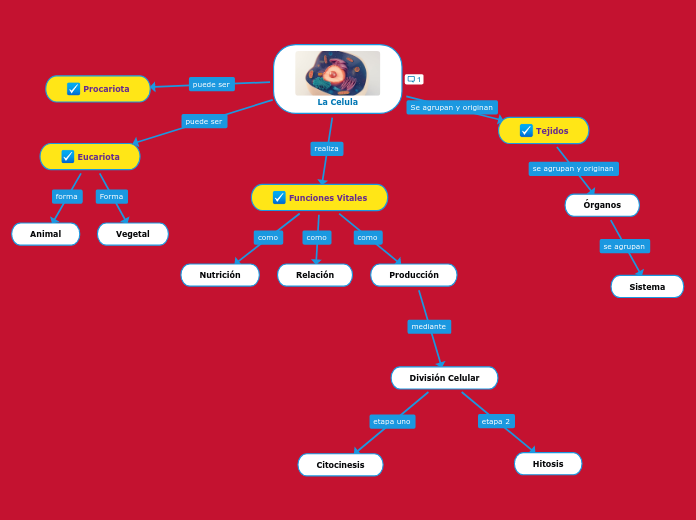 La Celula - Mind Map