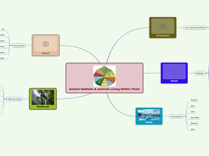 Habitats - Mind Map