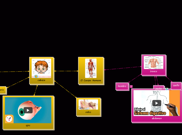 El Cuerpo Humano - Mind Map