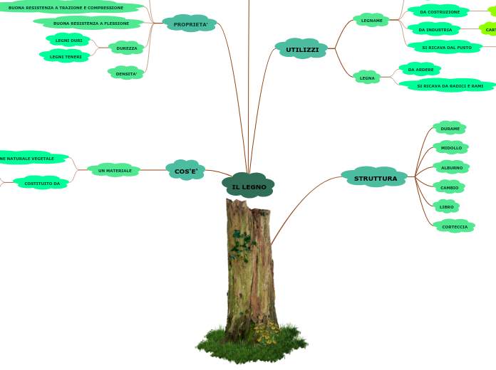 IL LEGNO - Mind Map