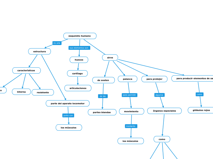 esqueleto humano - Mind Map