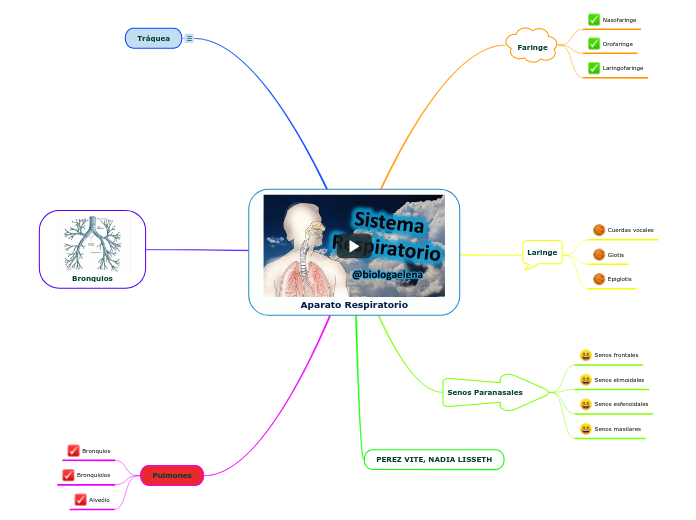 Aparato Respiratorio - Mind Map