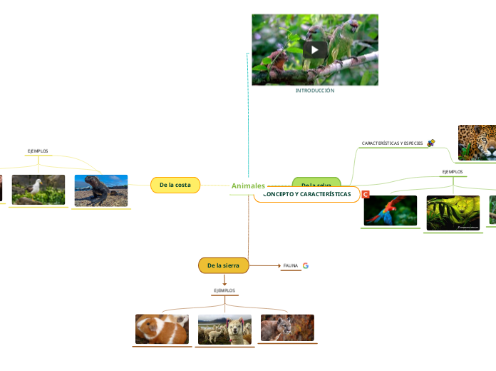 Animales - Mind Map