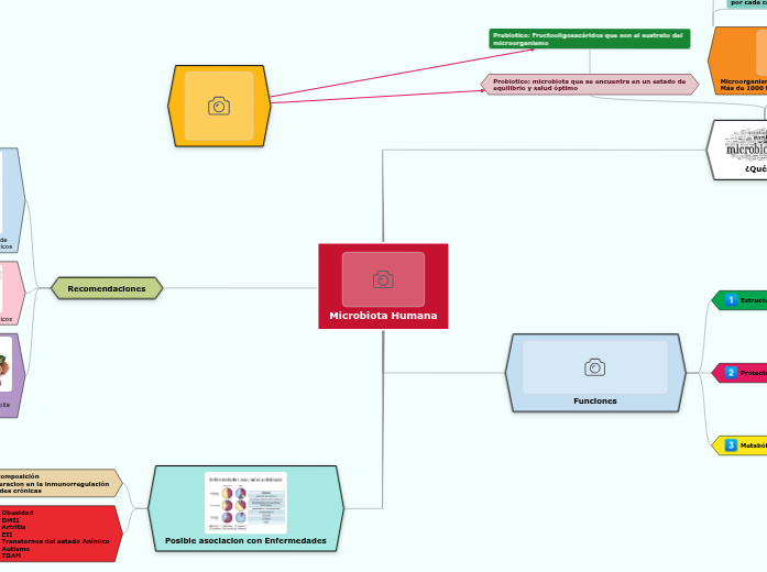 microbiota - Mind Map