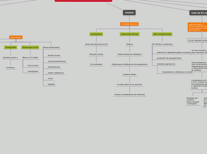 acidosis lactica - Mind Map