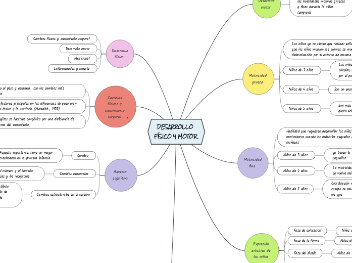 DESARROLLO FÍSICO Y MOTOR - Mind Map