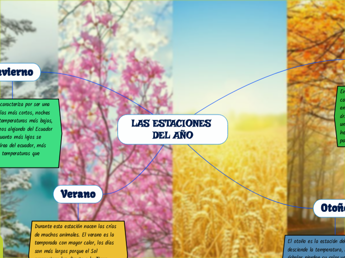 LAS ESTACIONES DEL AÑO - Mind Map