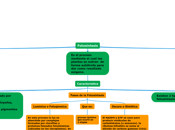 Fotosíntesis - Mind Map