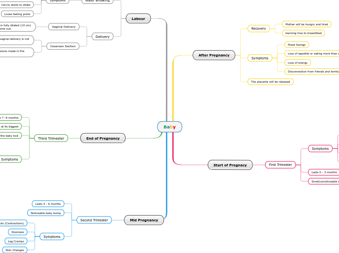 Baby - Mind Map