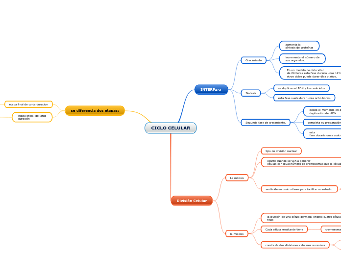 CICLO CELULAR - Mind Map