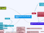contaminacion ambiental - Mind Map