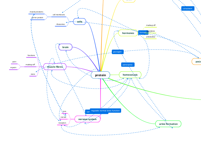 protein - Mind Map