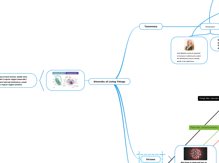 Diversity of Living Things - Mind Map