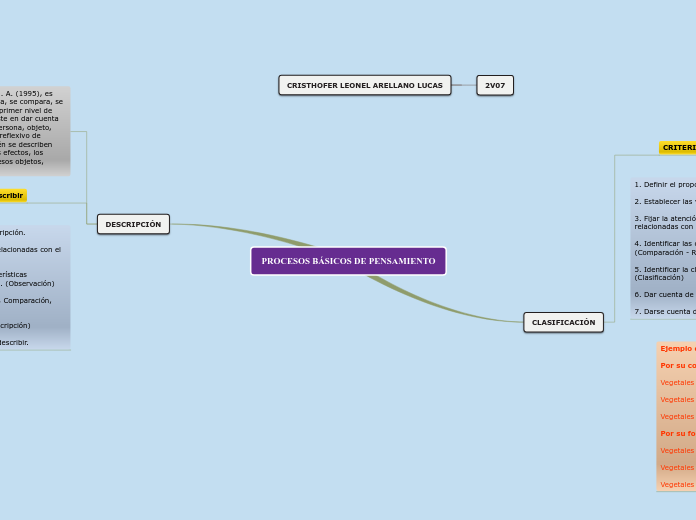PROCESOS BÁSICOS DE PENSAMIENTO - Mind Map