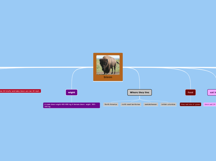 Bison - Mind Map