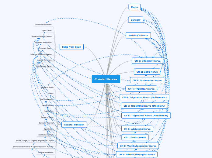 Cranial Nerves - Mind Map