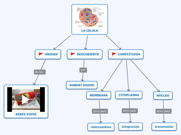 LA CELULA - Mind Map