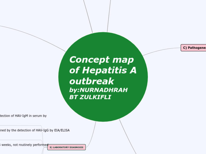Concept map of Hepatitis A outbreak | Mindomo Mind Map