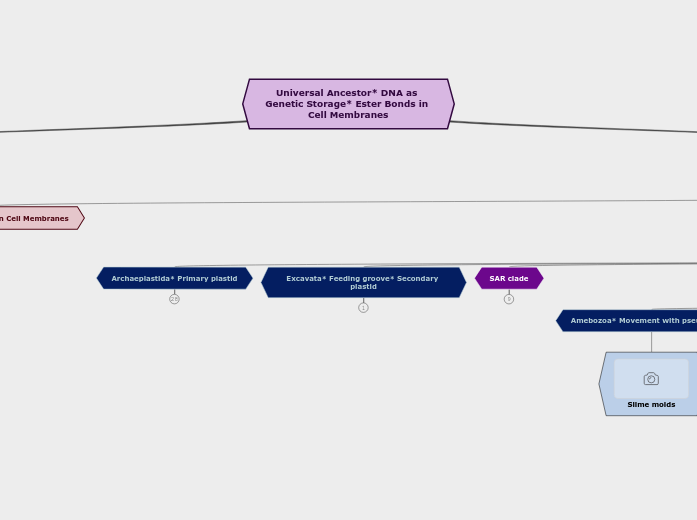 Vertebrates - Mind Map