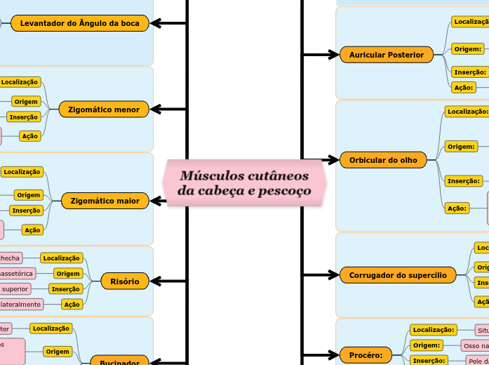 Músculos cutâneos da cabeça e pescoço - Mind Map